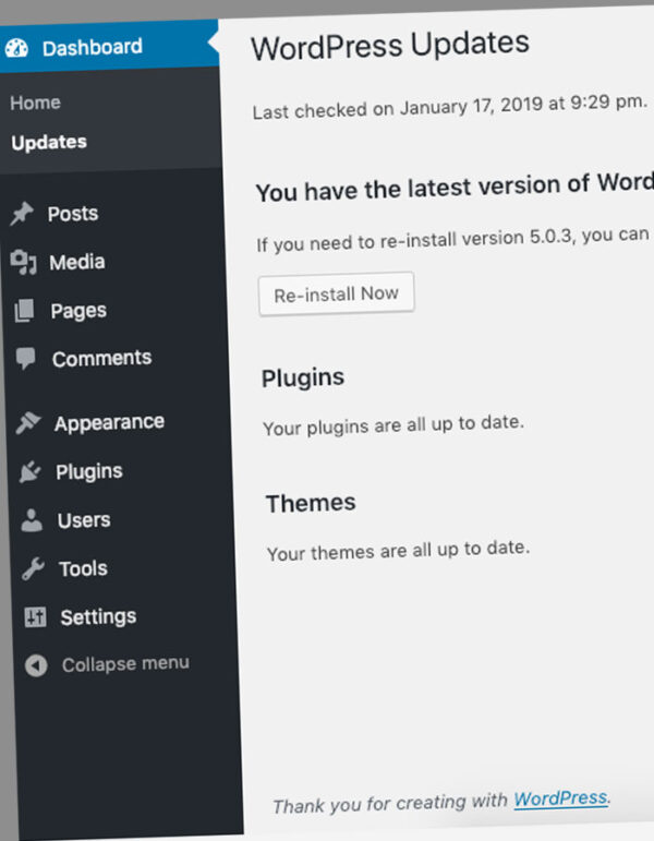 WordPress Website Design – SHRIM TECHNOLAB LLP